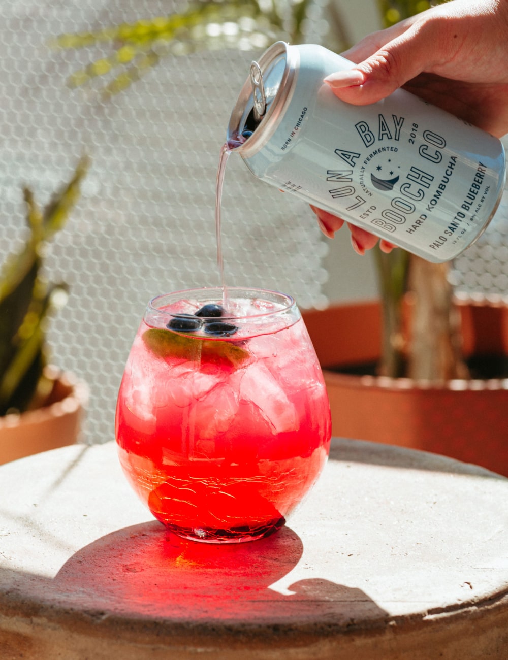 Cran-Blueberry Booch Bash – Luna Bay Drinks